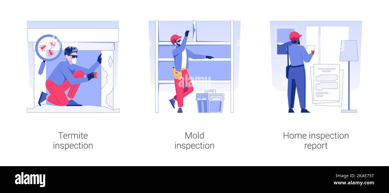 Home inspection service isolated concept vector illustration set ...
