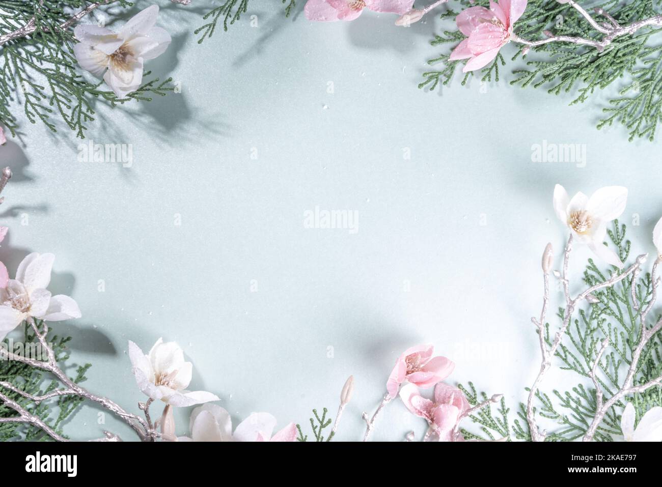 Winter Flowers Wallpaper Backgrounds