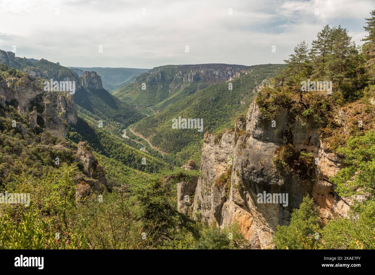 Gorges of Tarn seen from hiking trail on the corniches of Causse Mejean ...