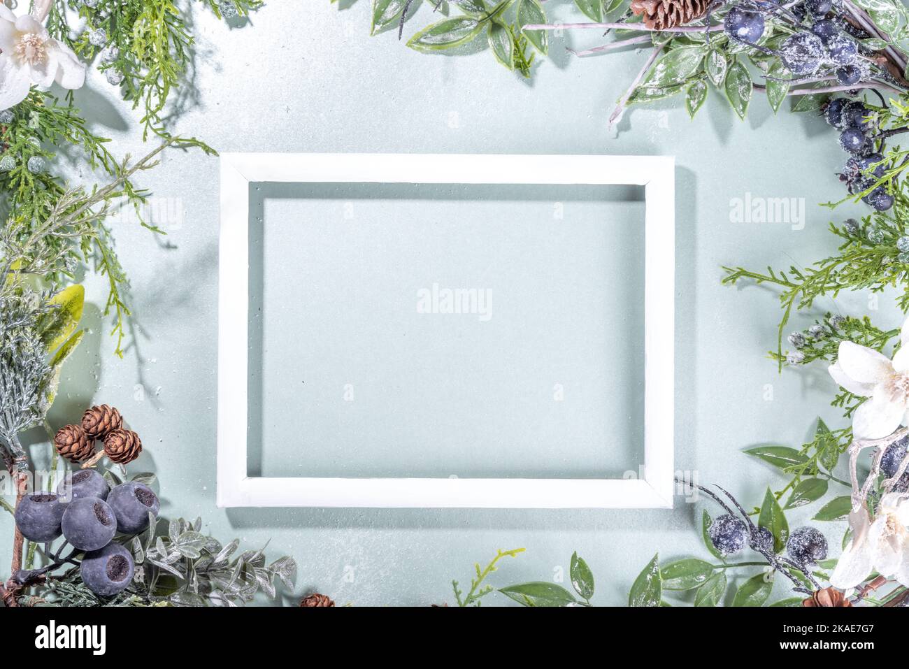 Christmas and New Year winter flowers greeting card background. Tender ...