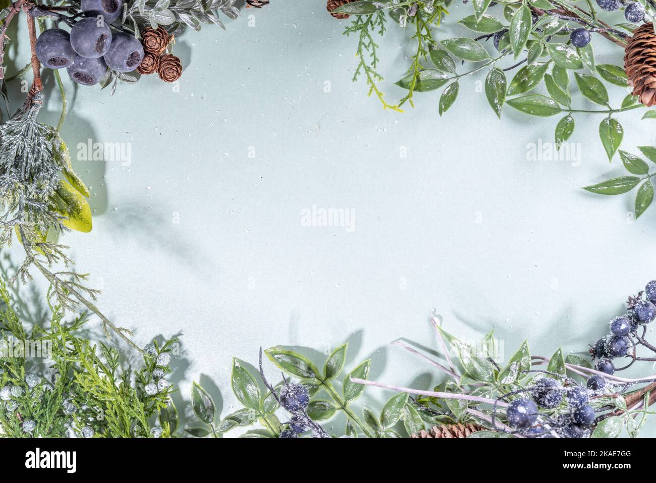 Christmas and New Year winter flowers greeting card background. Tender ...