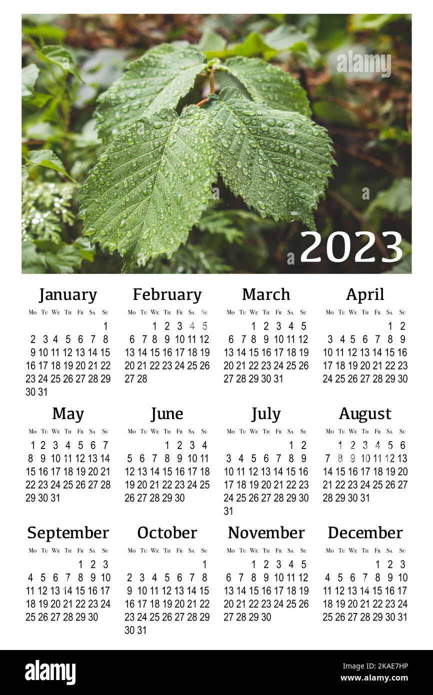 Botanical calendar for 2023. Vertical wall calendar , week starts ...