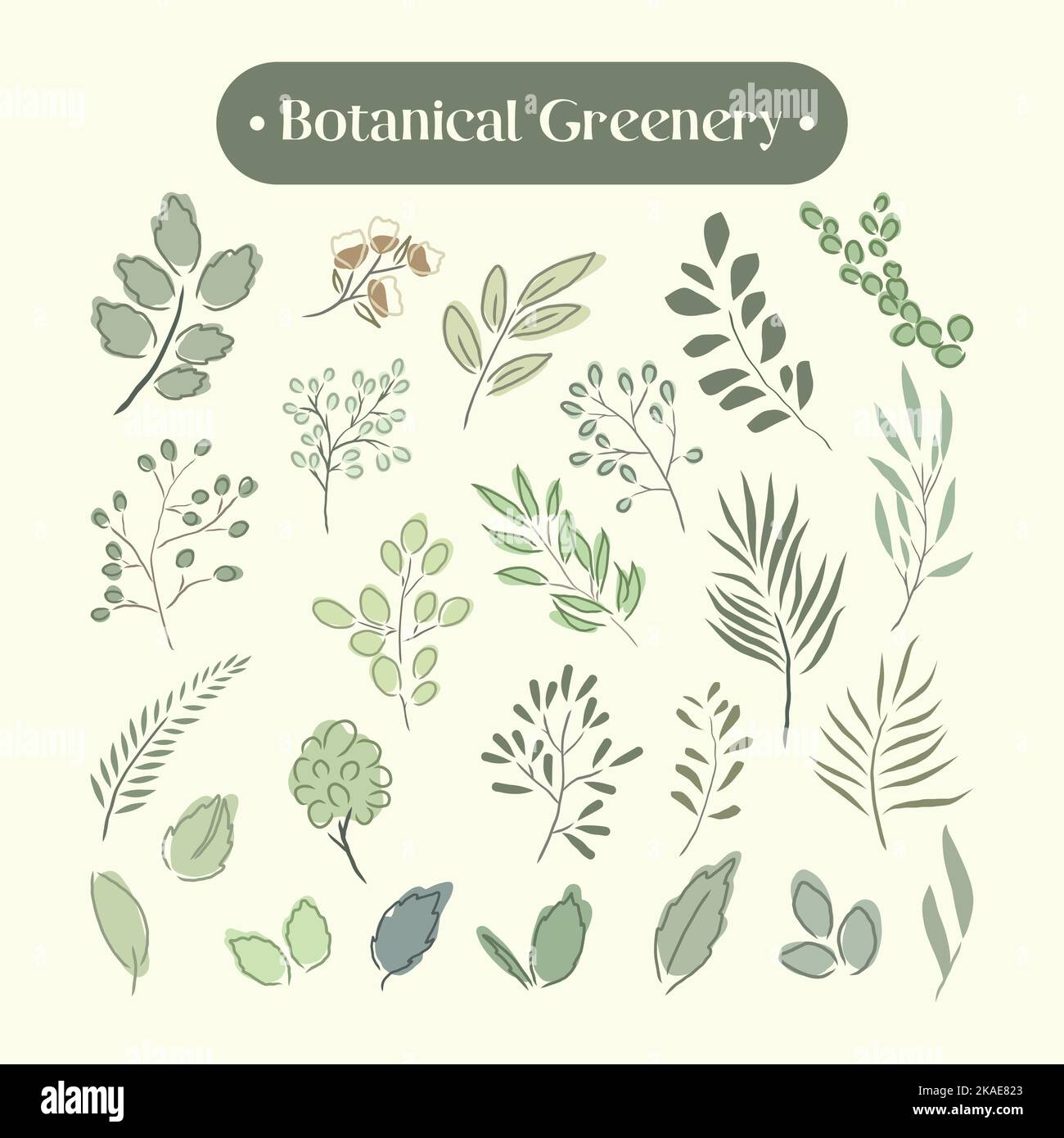 hand drawing botanical greenery set collection Stock Vector Image & Art ...