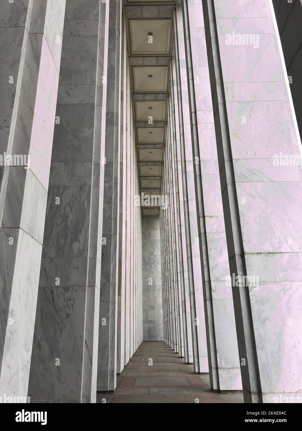 The columns of a modern building built with white Basalt, vertical ...
