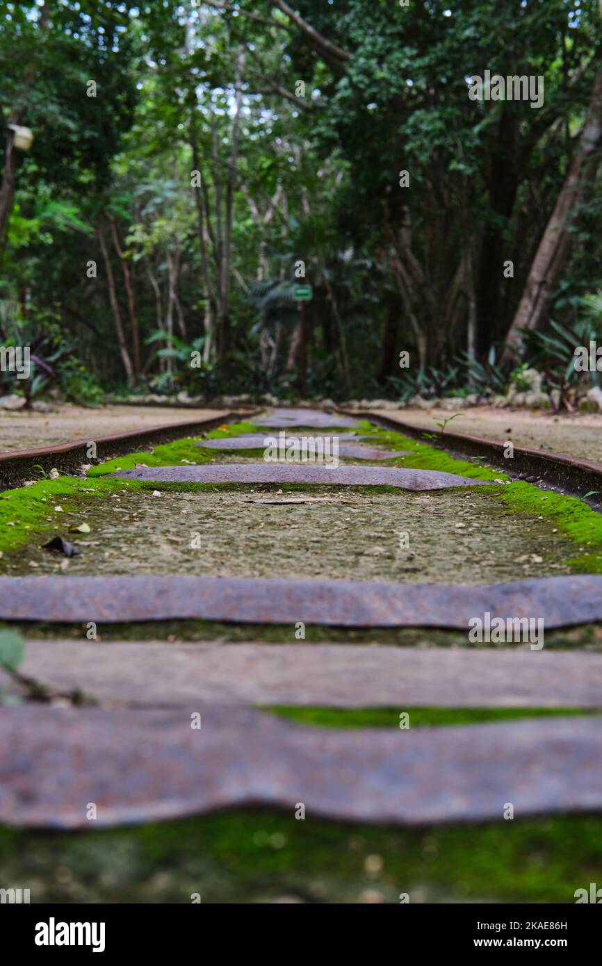 Mayan train hi-res stock photography and images - Alamy