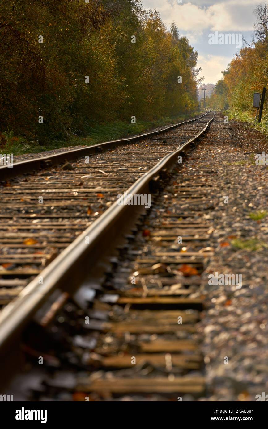 Train Tracks and Autumn Leaves vertical. Train tracks through a rural ...
