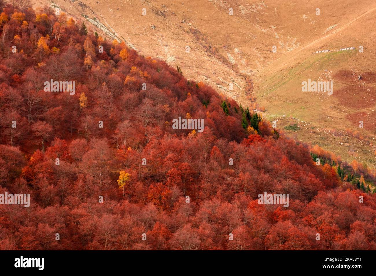 Beautiful autumnal landscape in the mountains of Biella, Piedmont ...
