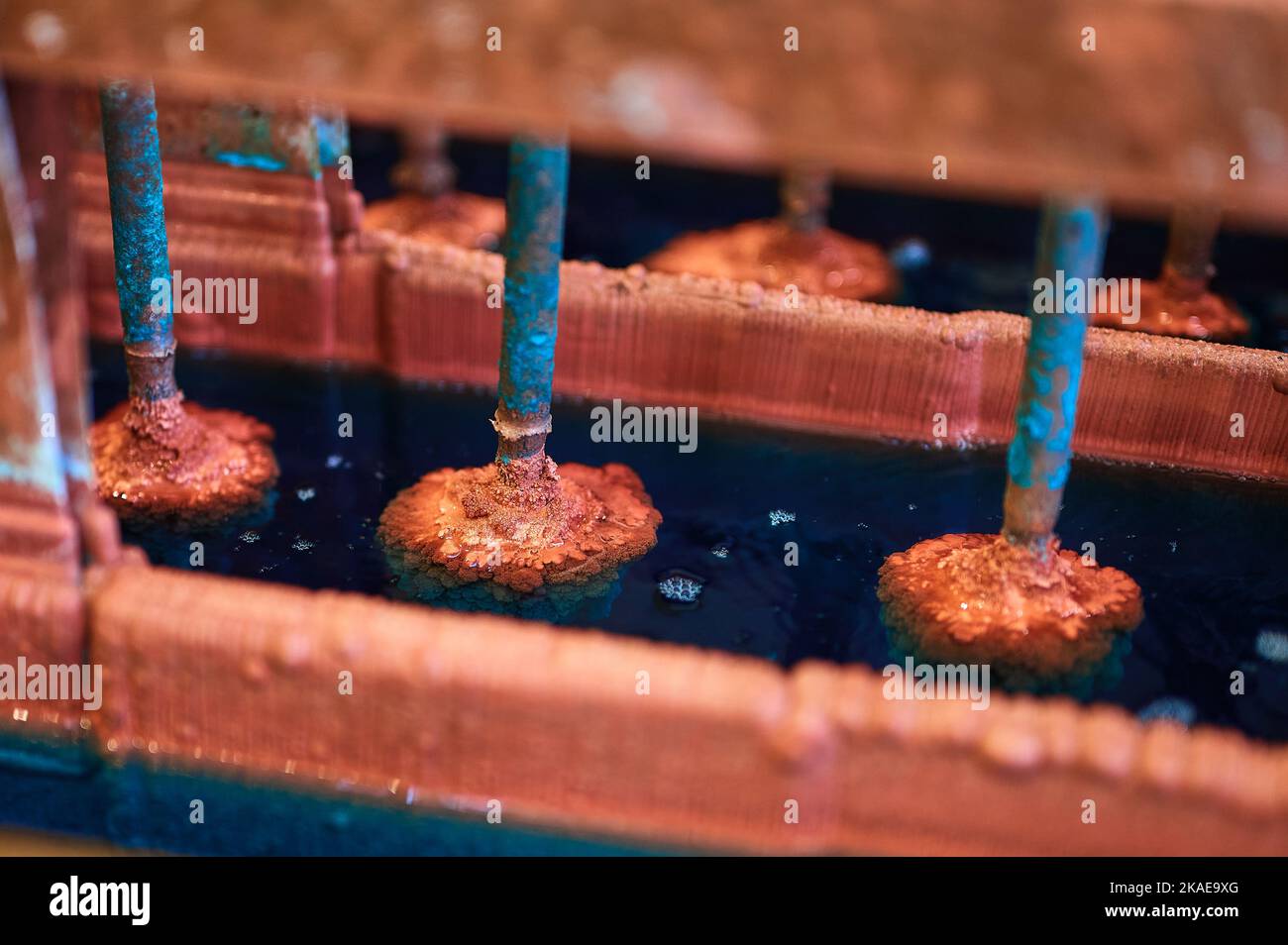 Metal cathodes covered with overgrowth copper powder Stock Photo - Alamy