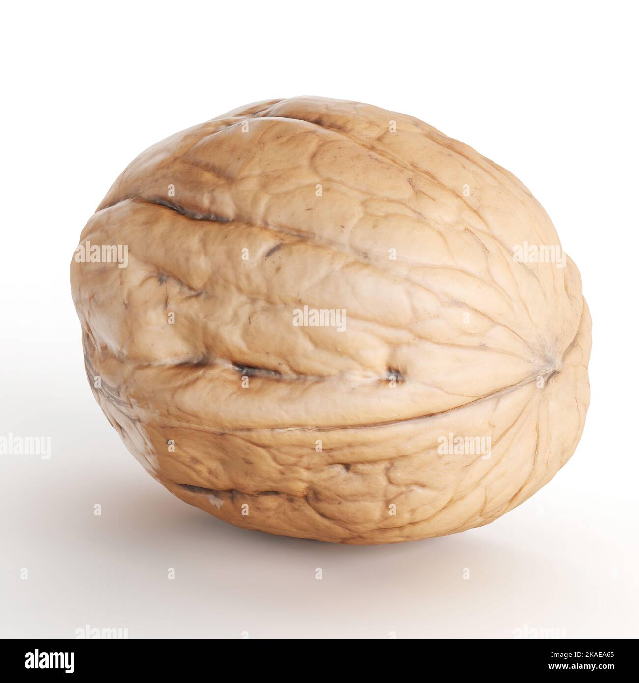 A 3D rendering of a whole walnut isolated on a white background Stock ...