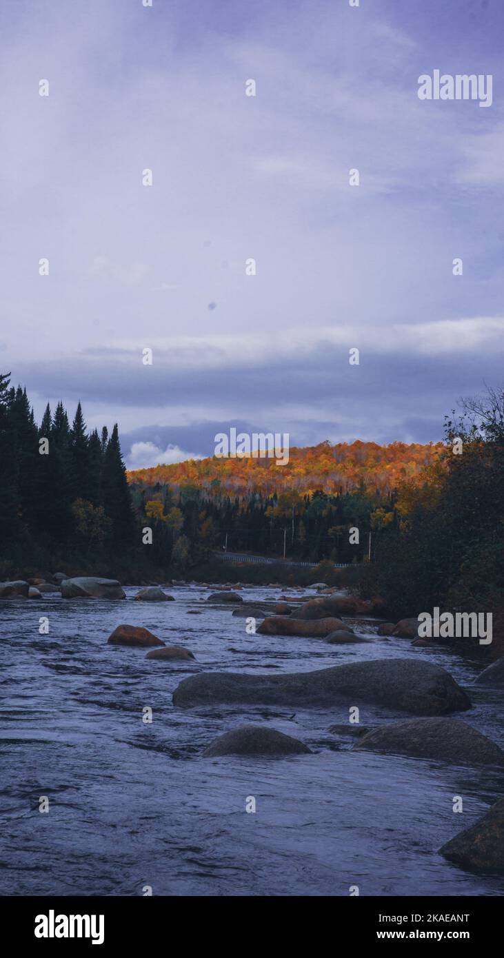 The beautiful autumn landscape with the river flowing through the ...