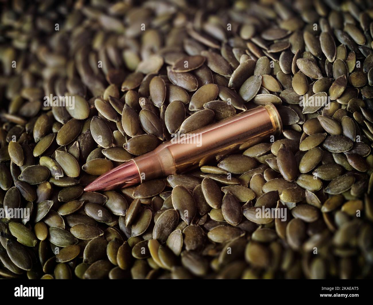 Bullet on a background of food seeds Stock Photo - Alamy