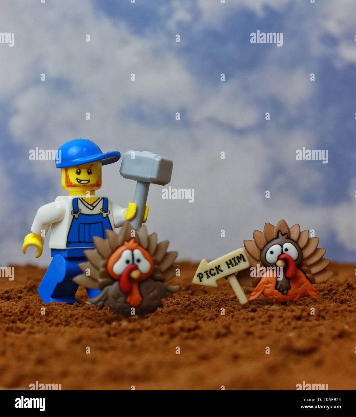A close-up shot of a farmer Lego figurine with turkeys on a soil ...