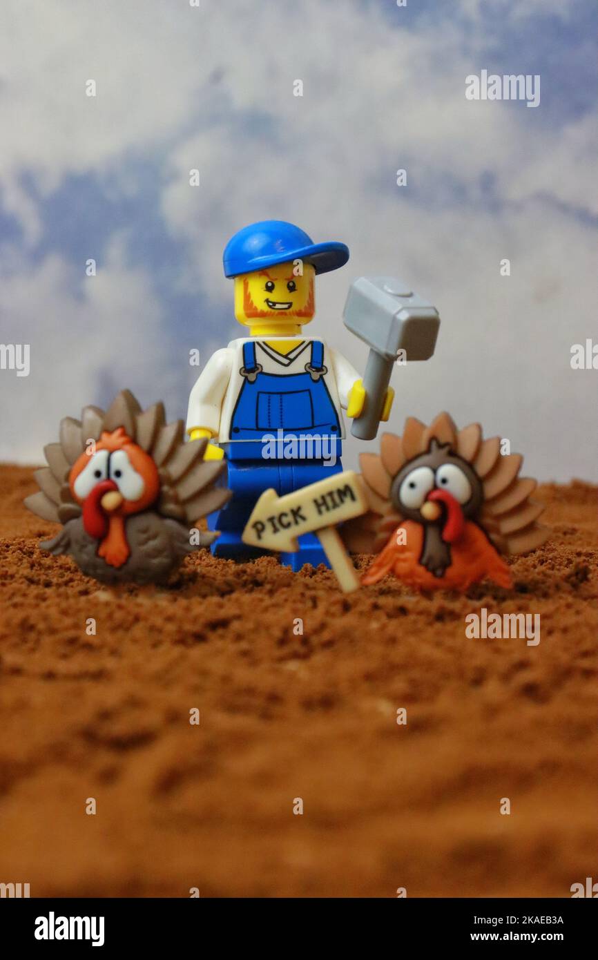 A vertical shot of a farmer Lego figurine with turkeys on a soil ...