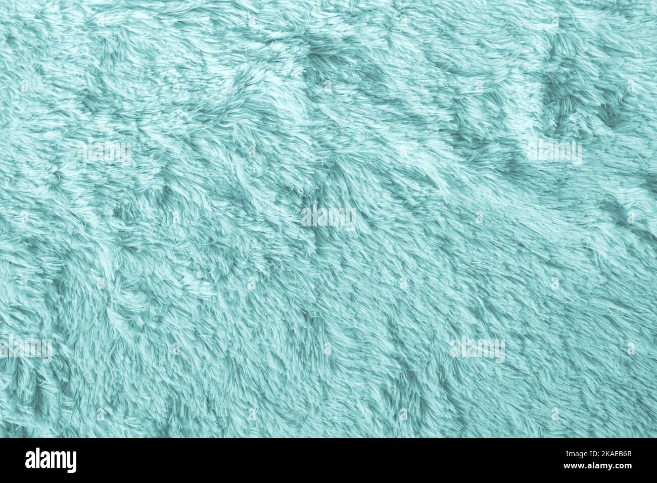 Light green color soft fluffy wool texture and background Stock Photo ...