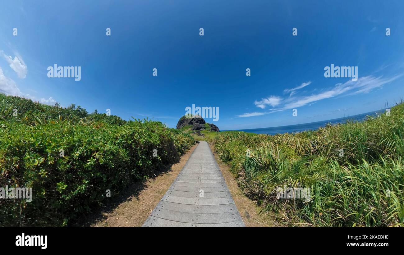 A pavemented road surrounded by corn and other green colored crops ...