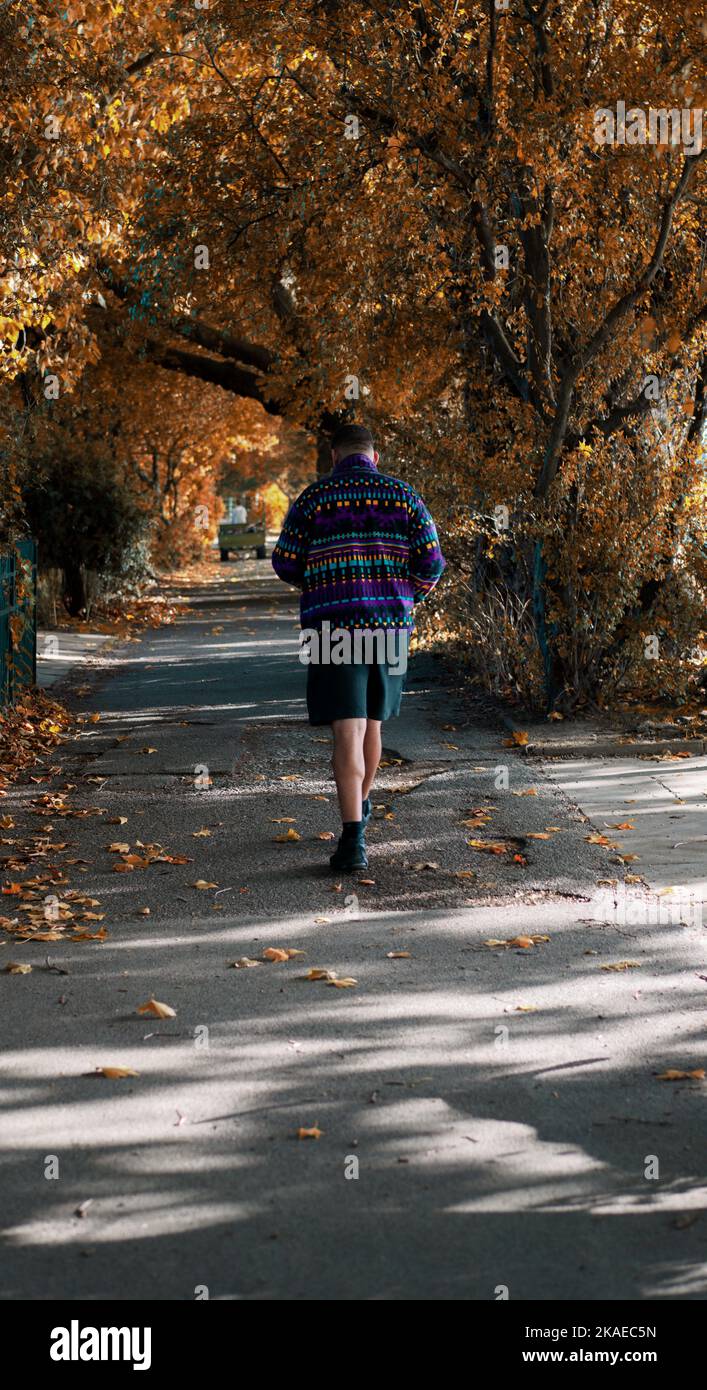 The adult man wearing shorts taking the walk in the autumn park ...