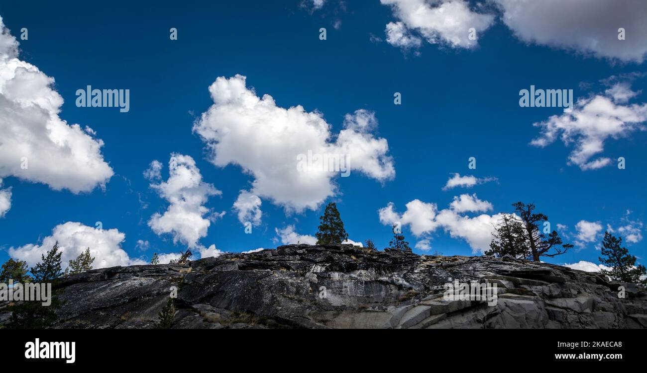 Ridgeline and fire scarred landscape near Echo Summit, California Stock ...