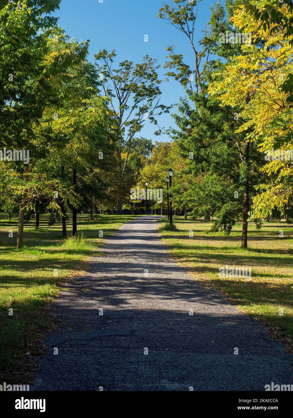 A pathway in a beautiful garden with autumn trees on a sunny day Stock ...