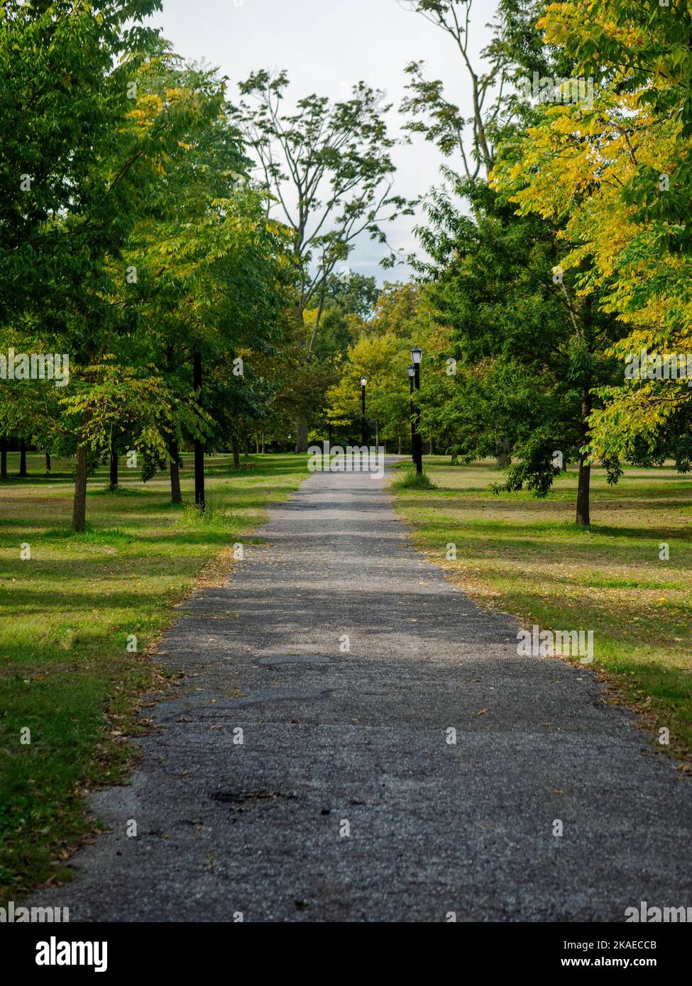 A pathway in a beautiful garden with autumn trees on a sunny day Stock ...