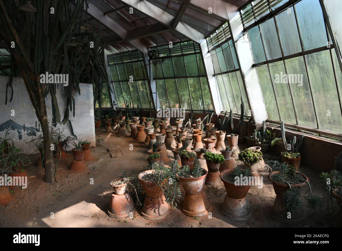 Cactus House interior of 30 genera are conserved in this glass house at ...