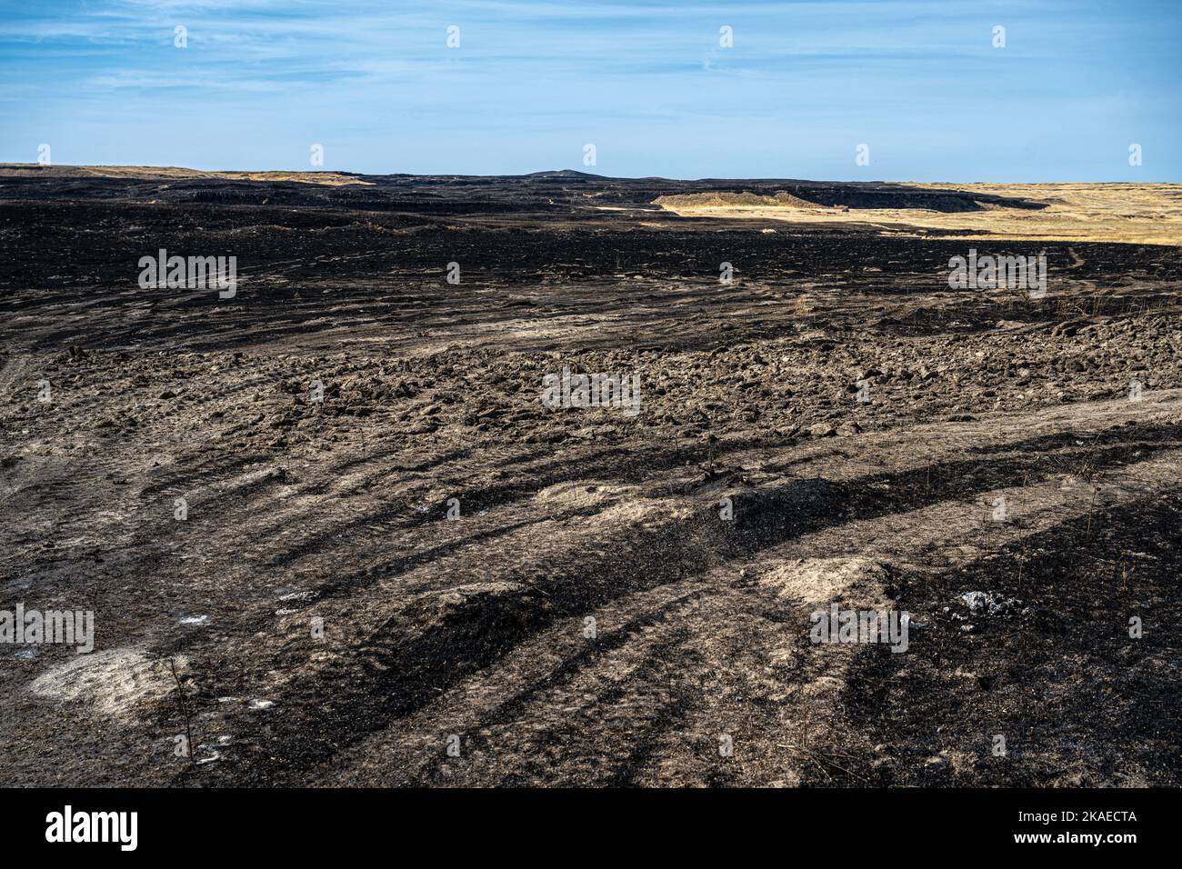 Burned Fields in the Palouse, WA Stock Photo - Alamy
