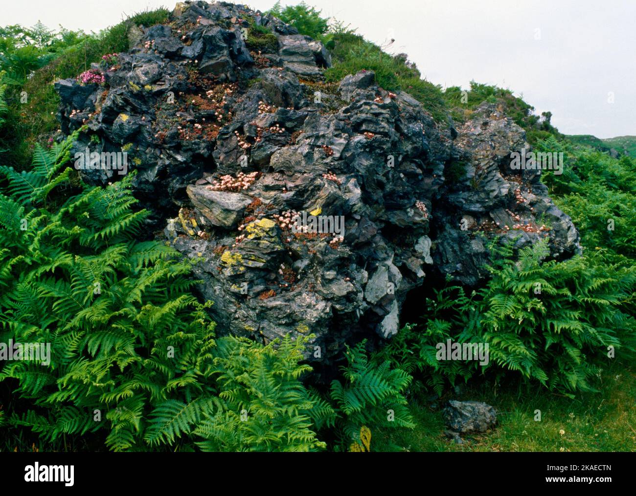 Detail of the heated & fused stone wall core on the SE side of ...