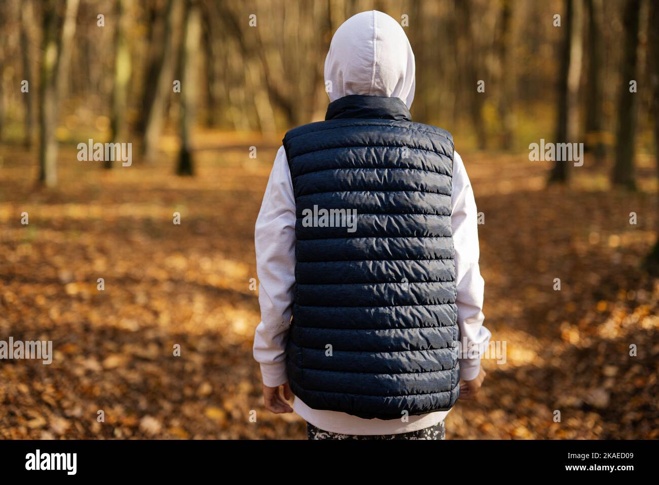 Back portrait of teen boy in hoodie and sleeveless vest at fall forest ...
