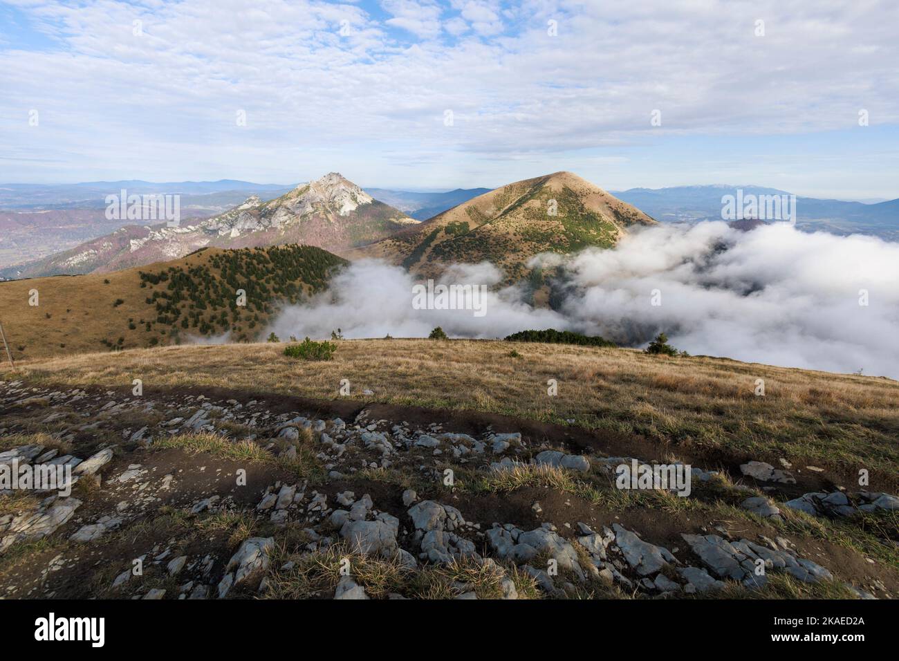 Velky roszutec hi-res stock photography and images - Alamy