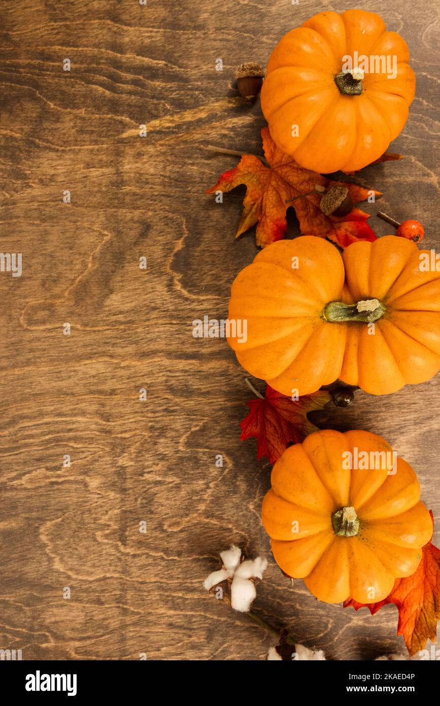 Top view of a row of miniature orange pumpkins on a rustic wood surface ...