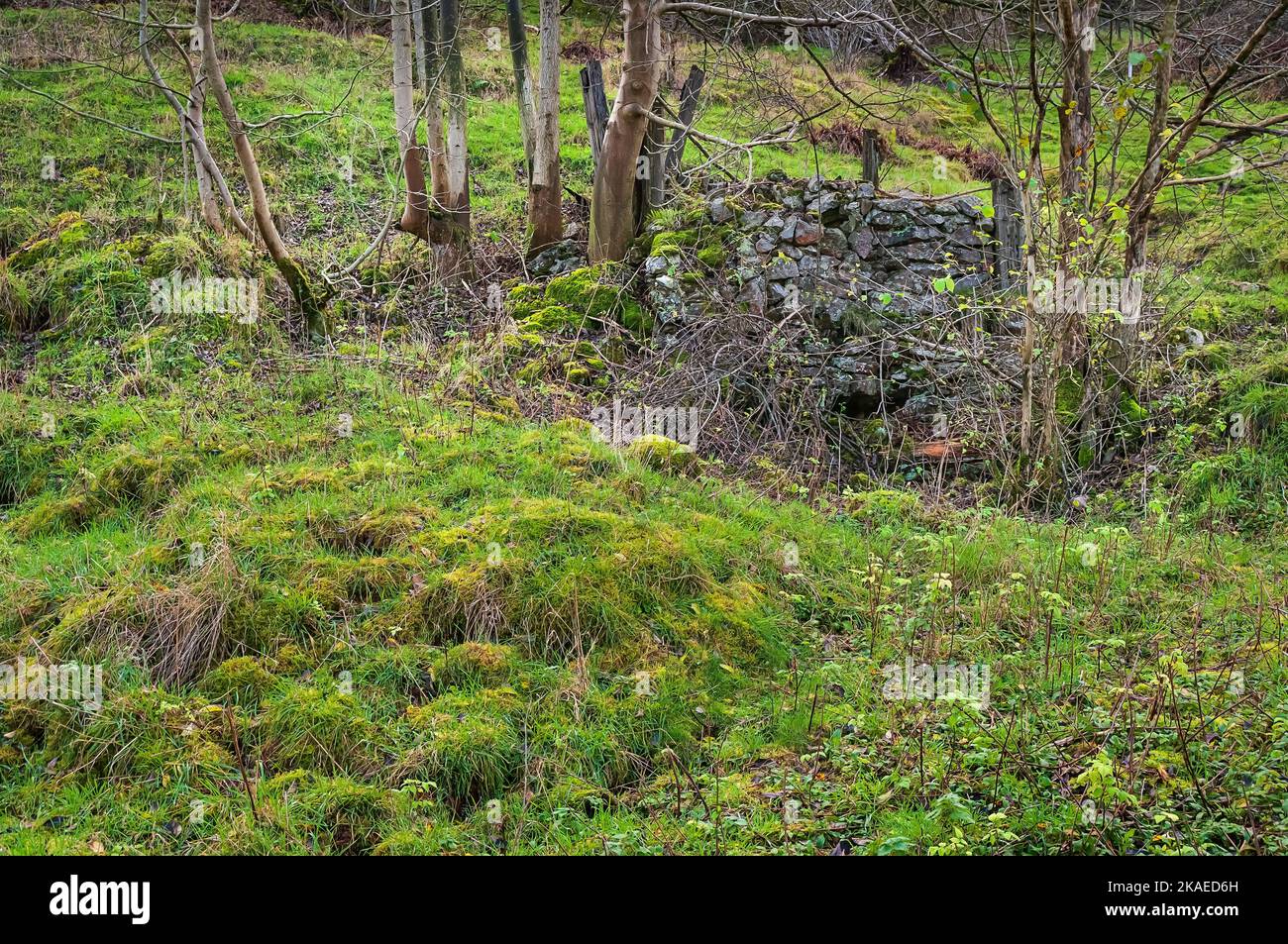 Abandoned and ruined mine building situated near the old fluorite adit ...