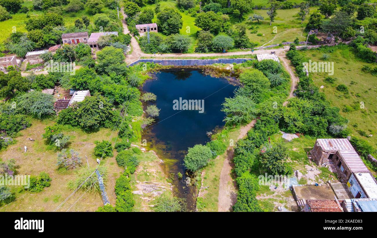 A beautiful view of a pond with green trees in a park on a sunny day ...