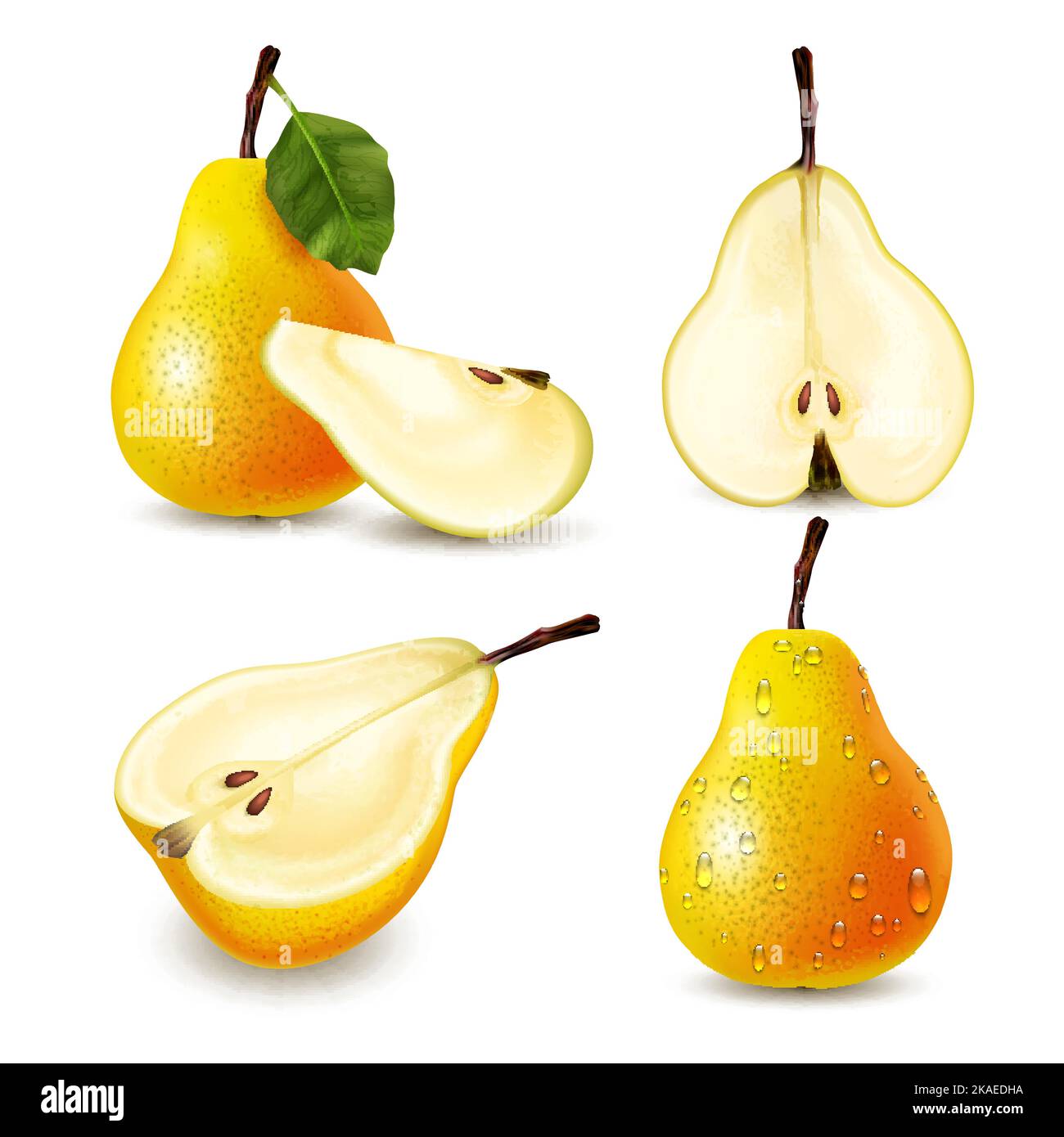 Realistic set of fresh ripe yellow pears isolated on white background vector illustration Stock ...