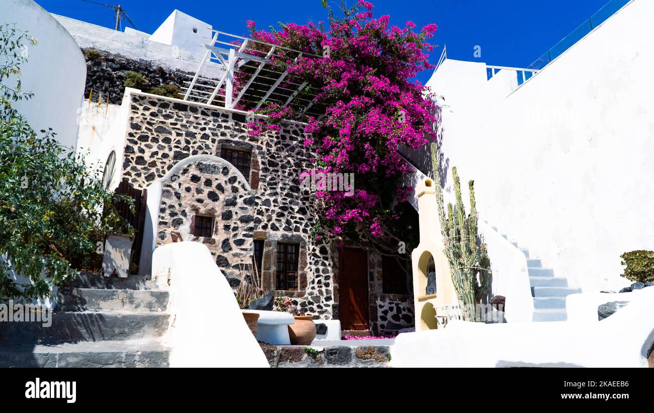 A traditional Greek architecture and garden with flowers on Santorini ...