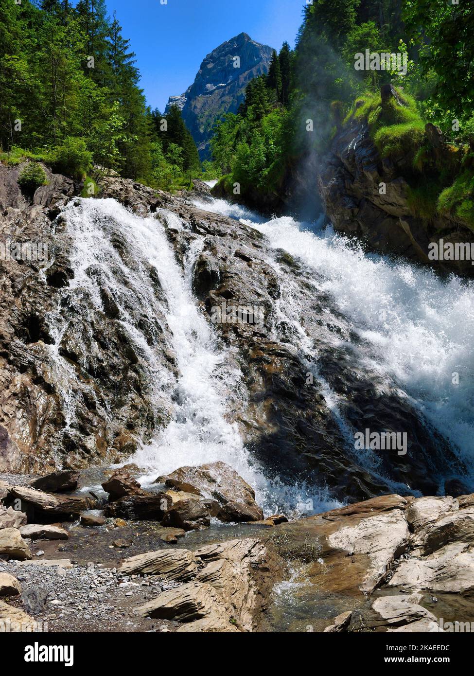 The vertical view of a river falling down a rocky slope in the forest ...