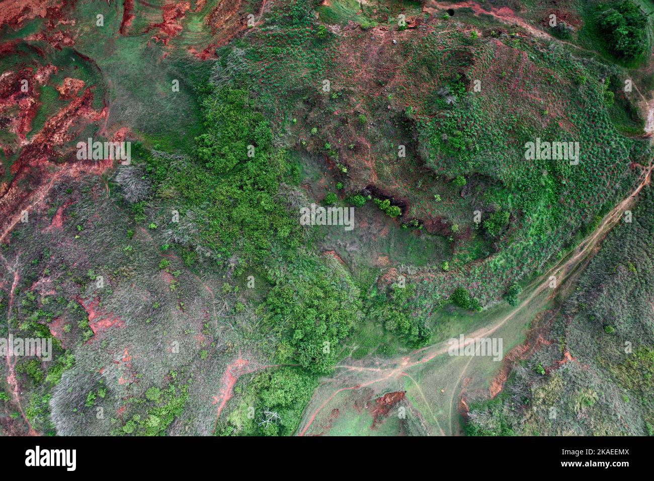 An aerial of Wayanad covered in bushes and trees, Kerala, India Stock ...