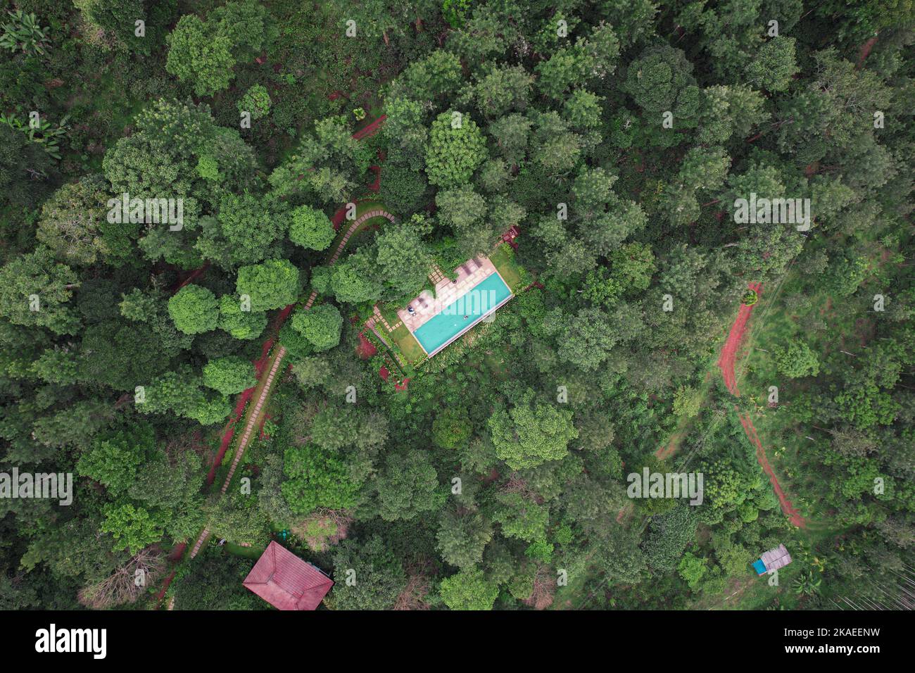An aerial view of a pool in the middle of a Plantation Forest, Wayanad, Kerala, India Stock ...