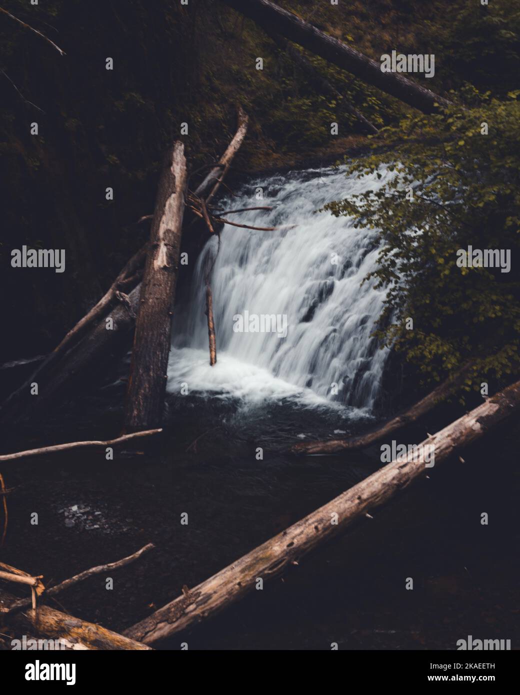 A vertical shot of a waterfall flowing down into a lake with fallen ...