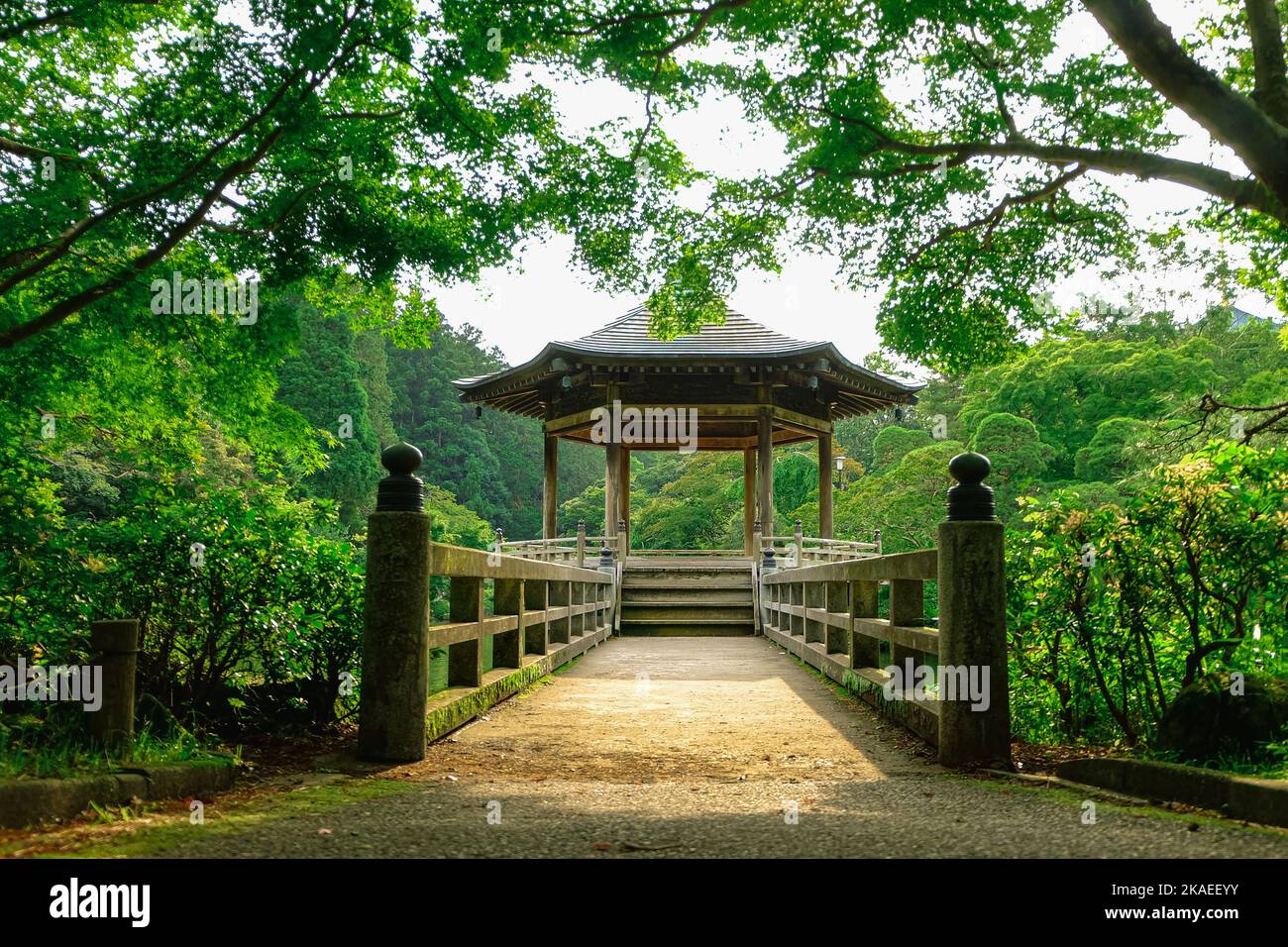 A shrine in the middle of the forest Stock Photo - Alamy