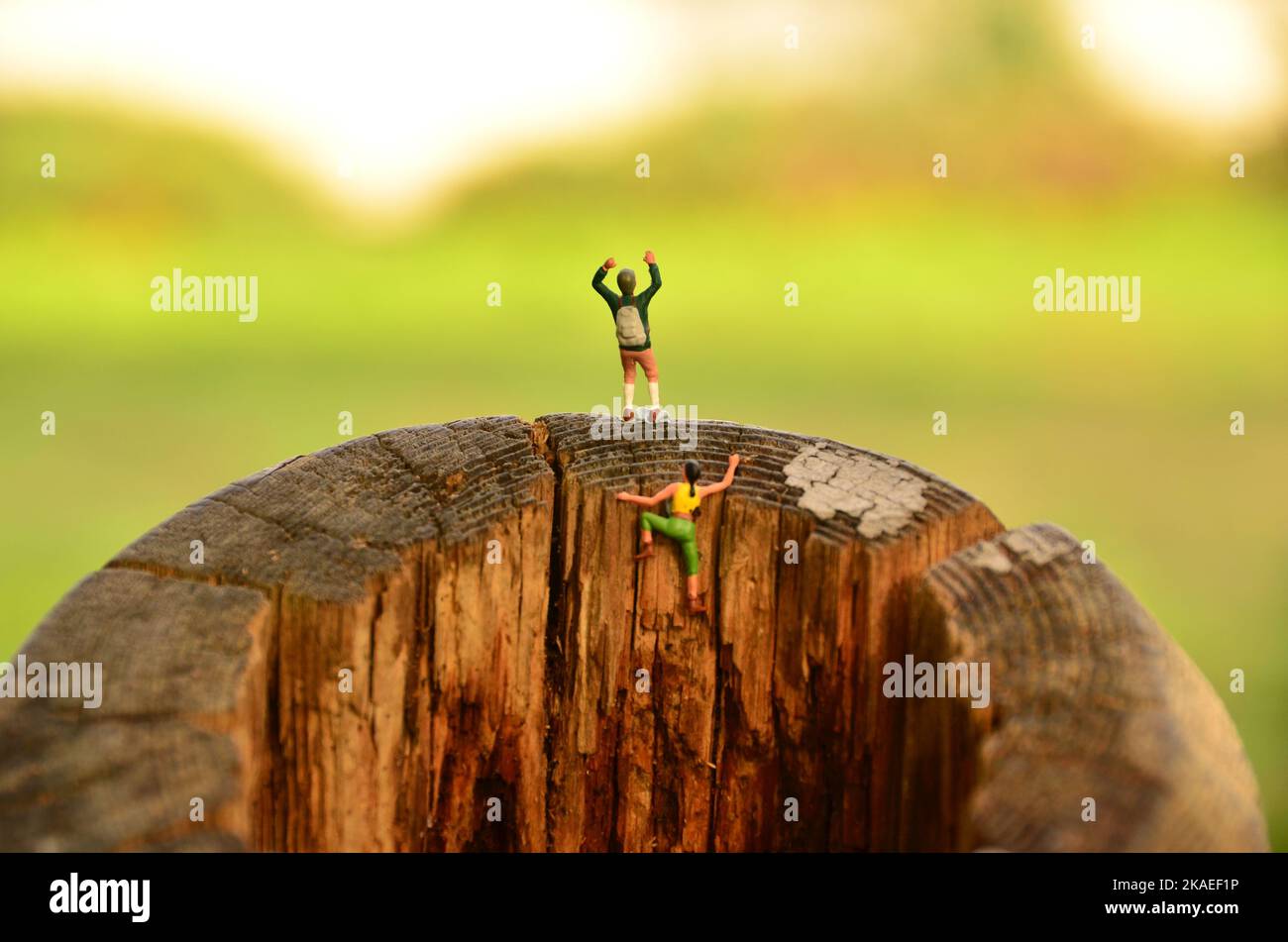 The miniature hikers climbing a tree stump to the top and celebrating ...