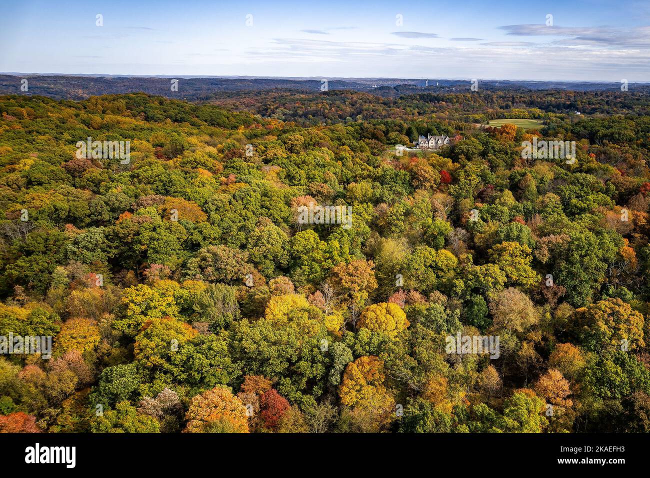An aerial view of an autumn forest in foliage Stock Photo - Alamy
