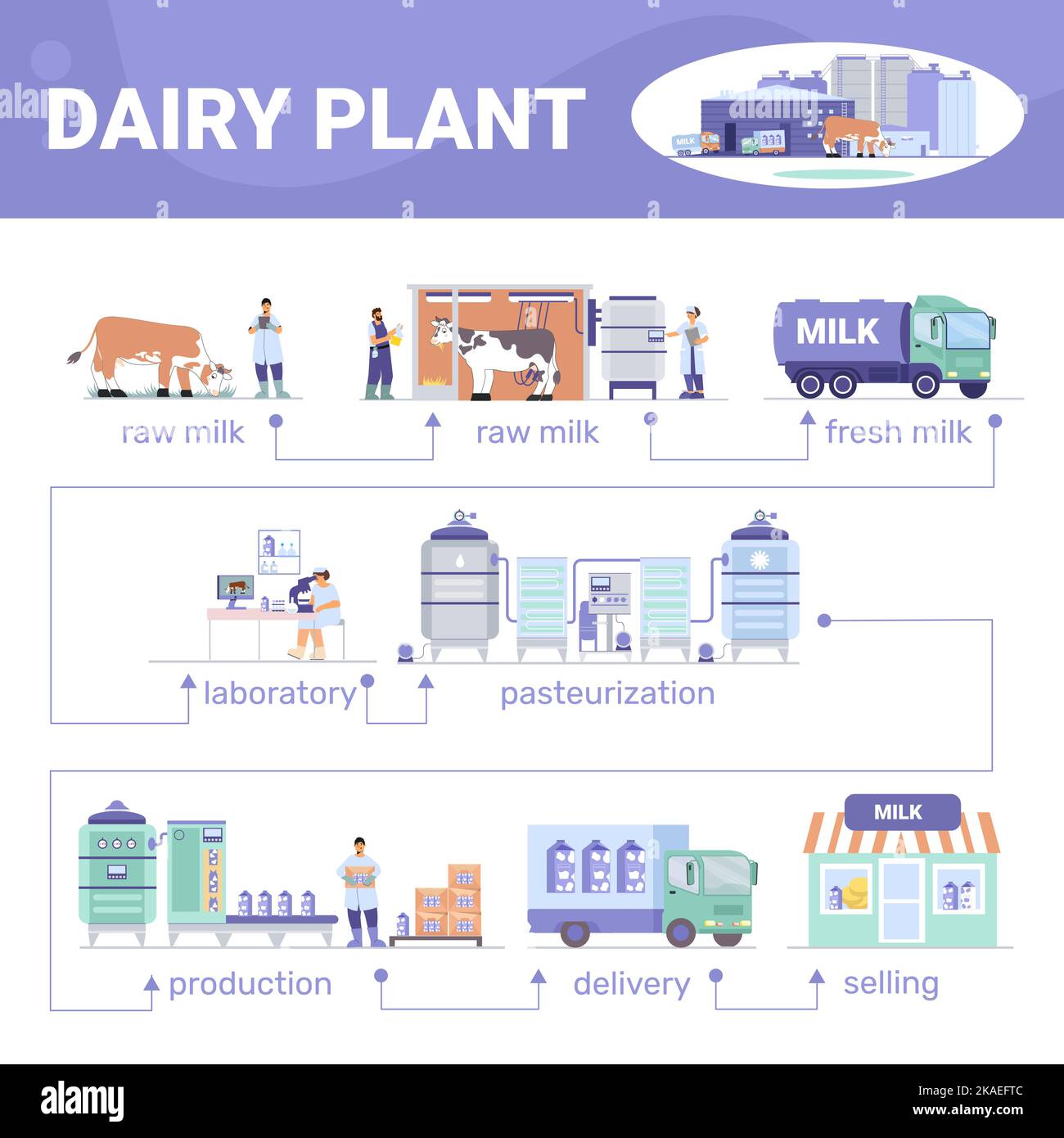 Dairy plant flat infographics with text and diagram of production ...