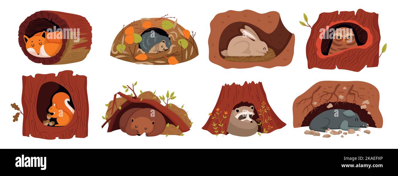 Forest animals tree hollow set with isolated views of wild animals ...