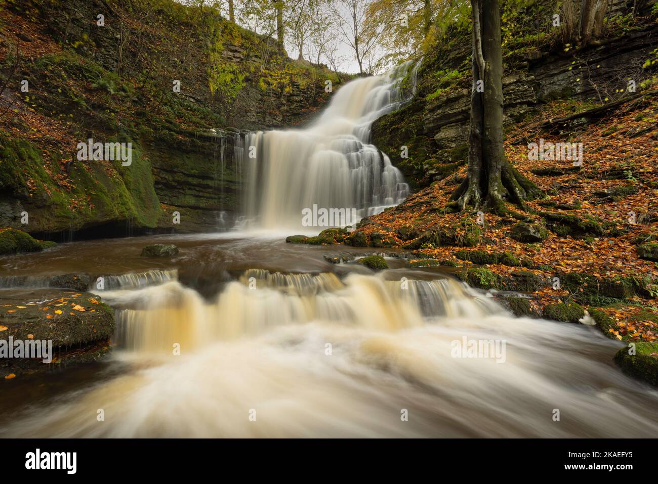 Scaleber Force is a 40 foot high waterfall on Stockdale Beck, near to ...