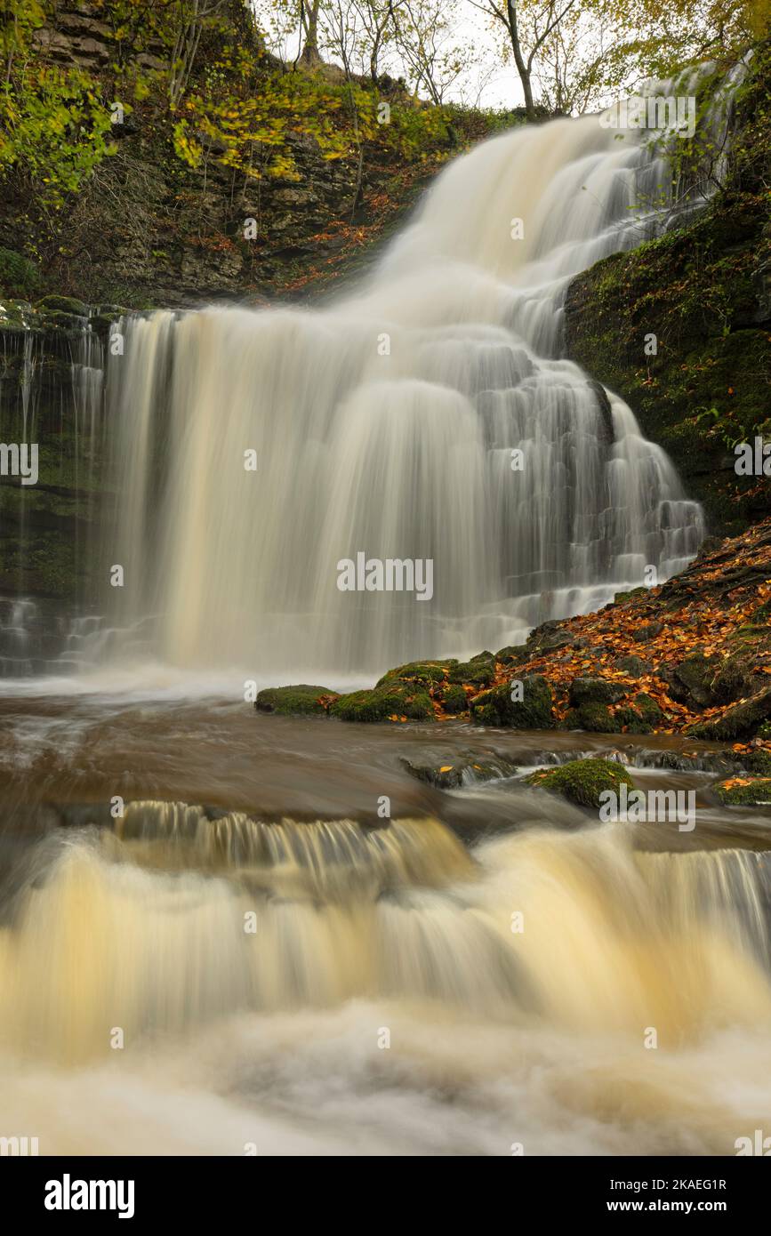 Scaleber Force is a 40 foot high waterfall on Stockdale Beck, near to ...
