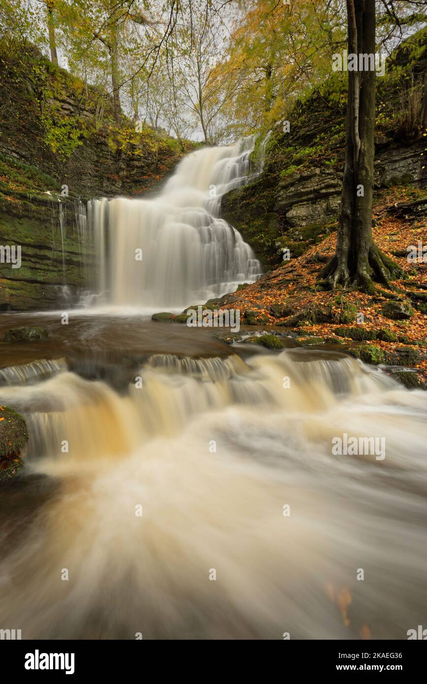 Scaleber Force is a 40 foot high waterfall on Stockdale Beck, near to ...