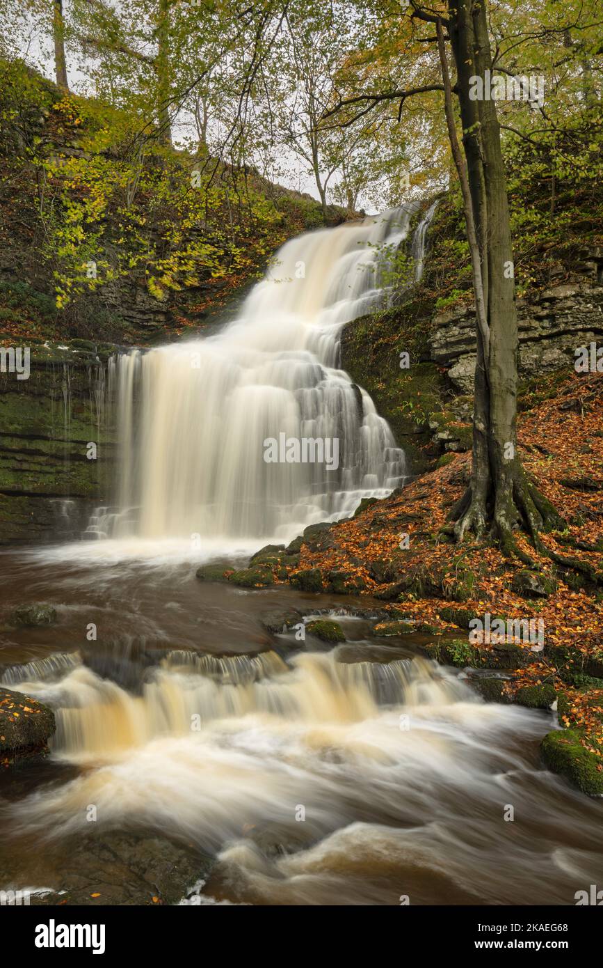 Scaleber Force is a 40 foot high waterfall on Stockdale Beck, near to ...