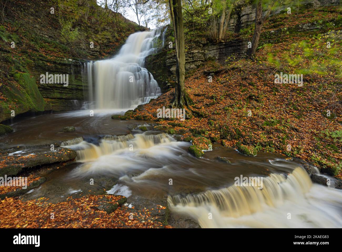 Scaleber Force is a 40 foot high waterfall on Stockdale Beck, near to ...