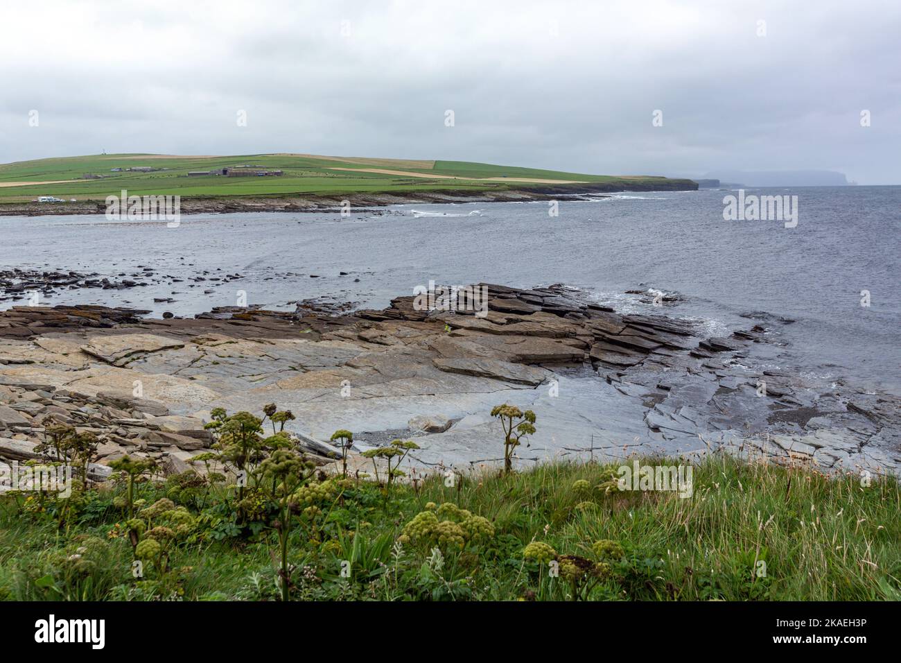 Rspb scotland hi-res stock photography and images - Alamy