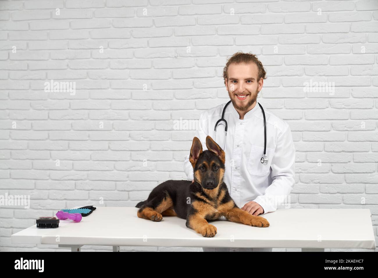 Portrait of animal doctor and black and brown dog. Handsome ...