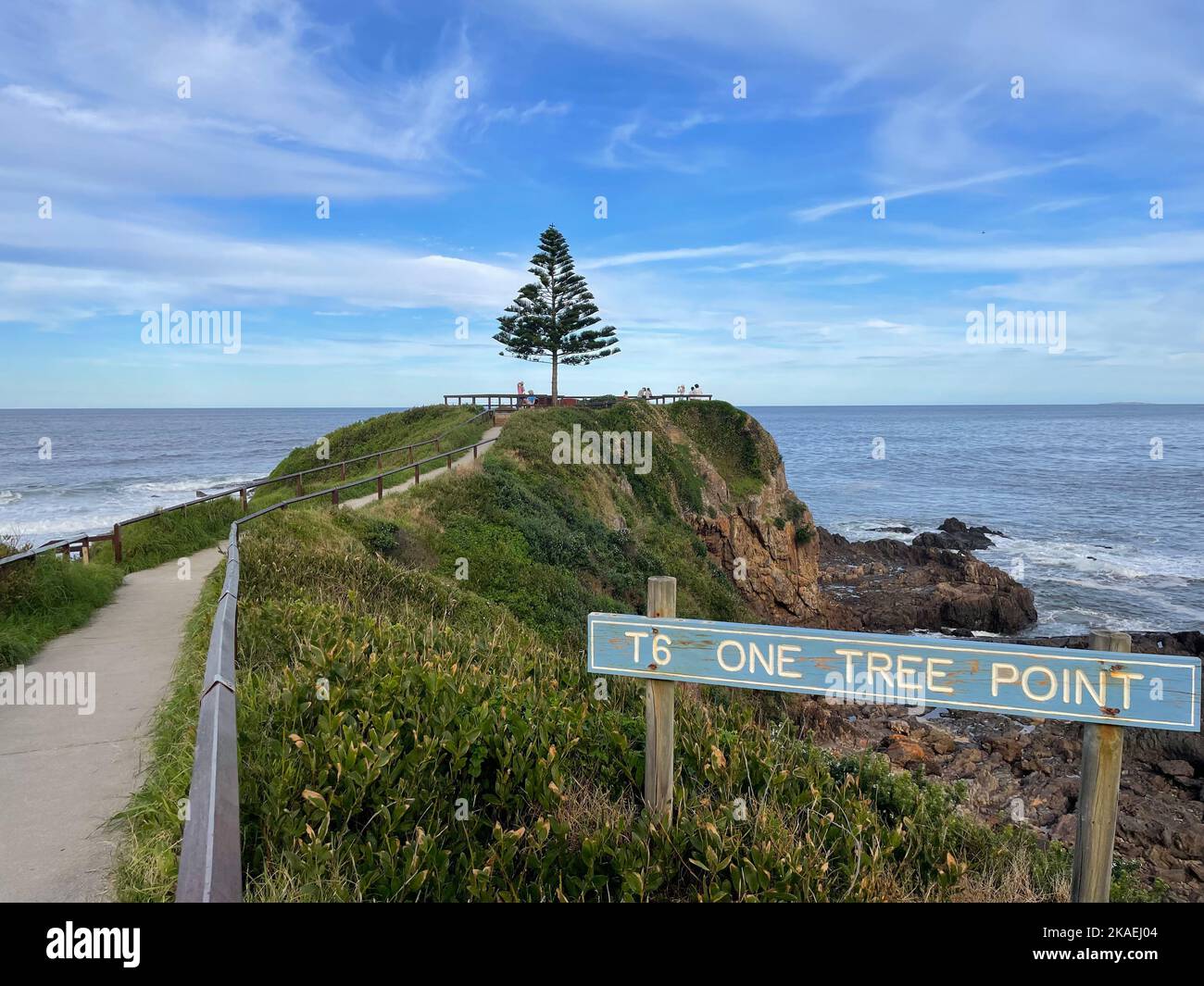 A single tree overlooking the sea under a bright blue sky at the One ...